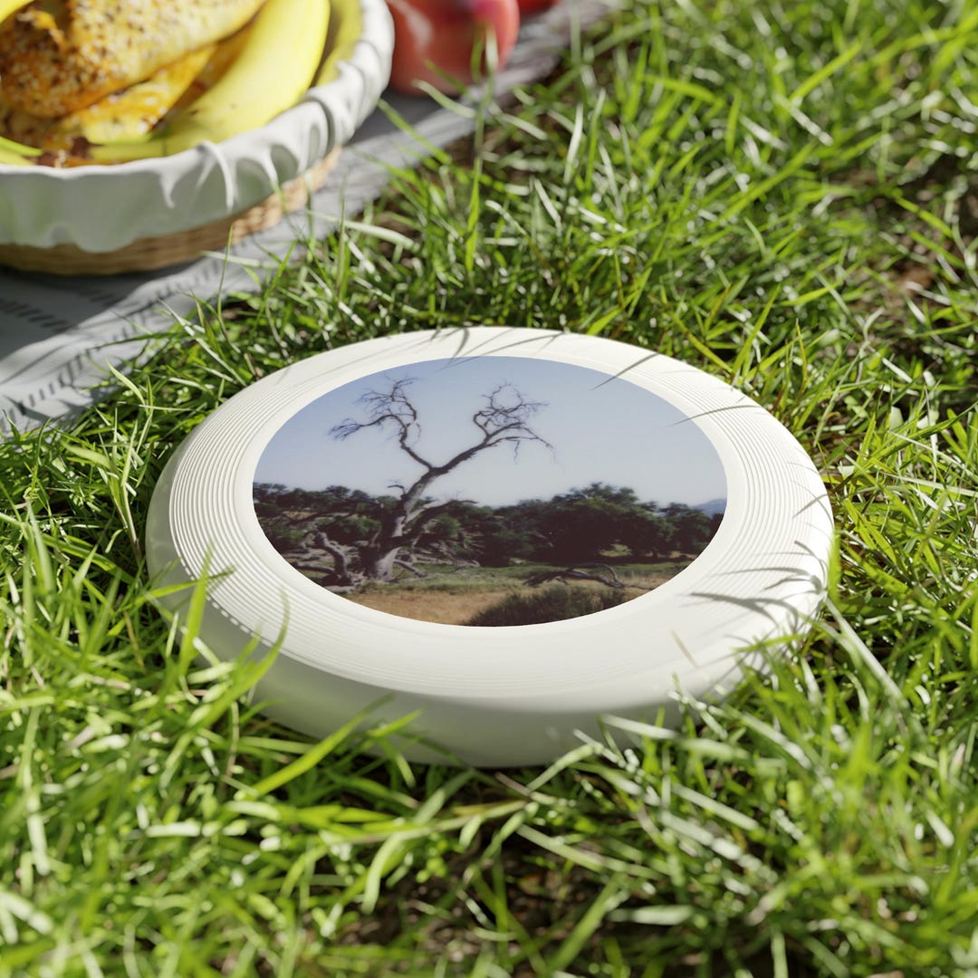 Wham-o Frisbee - Vintage Tree Nature Outdoor Lover Gift, Sunny Day ...