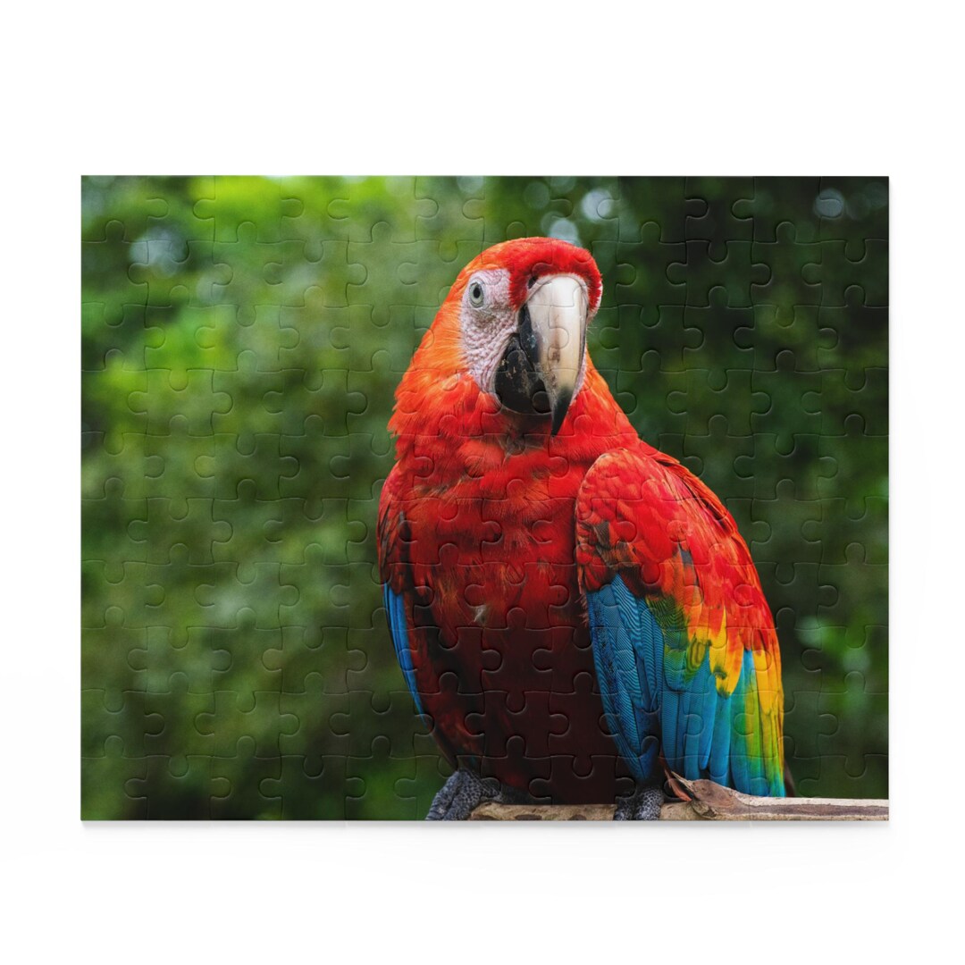 Vibrant Scarlet Macaw Puzzle | Colorful Bird Jigsaw, Nature Gift ...