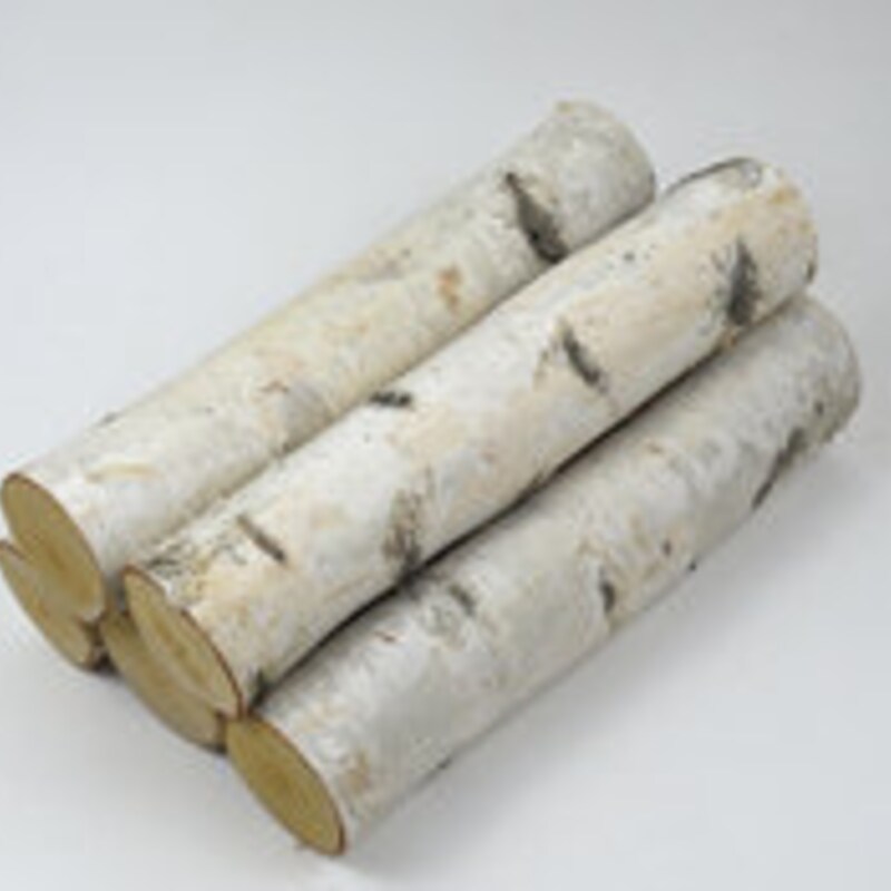 White Birch Logs - Etsy