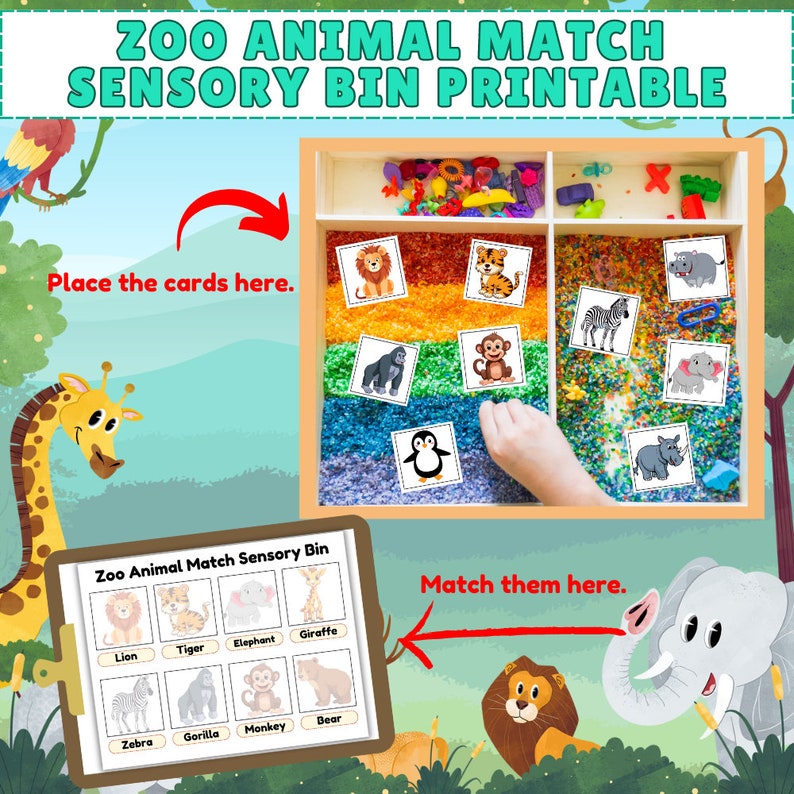 Zoo Animal Sensory Bin Activity for Kindergarten Centres - Etsy