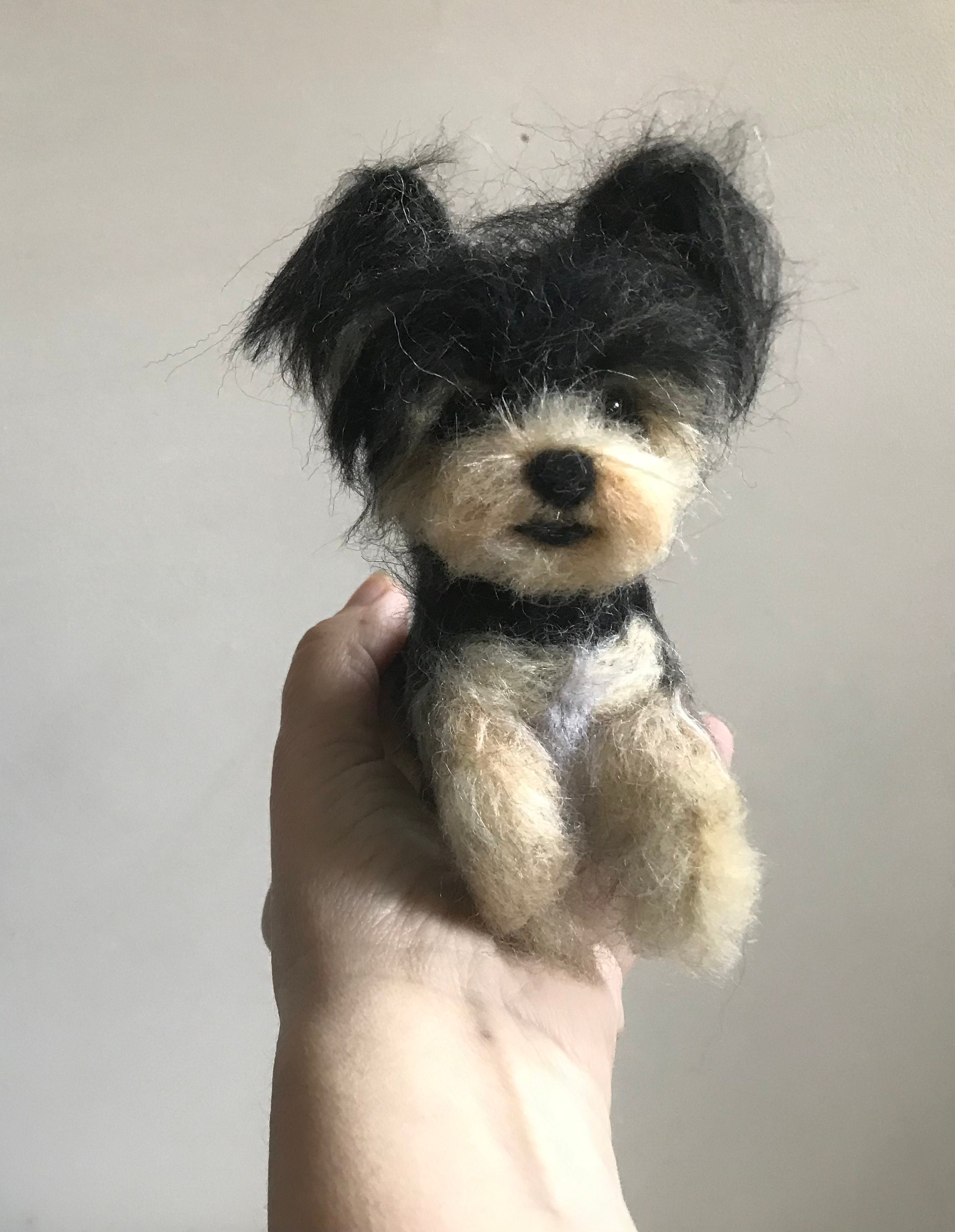 Miniature White Yorkie Puppies