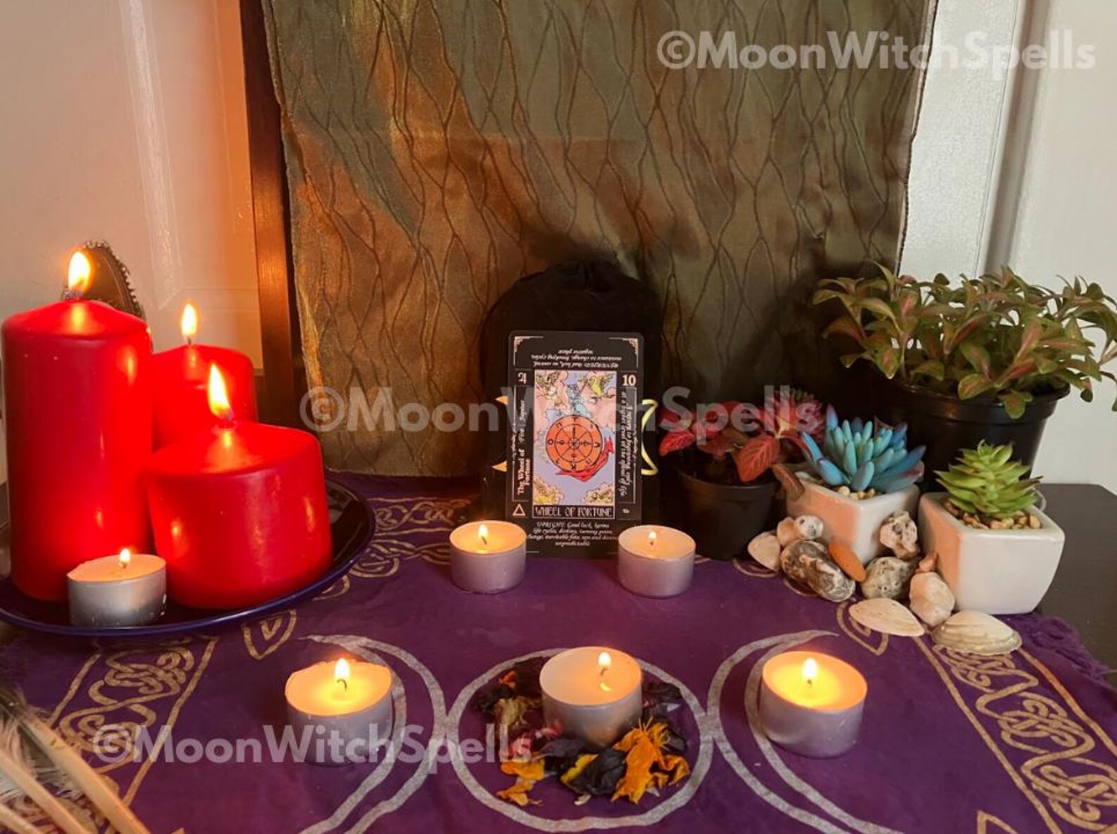 VAMPIRE TRANSFORMATION RITUAL - Etsy