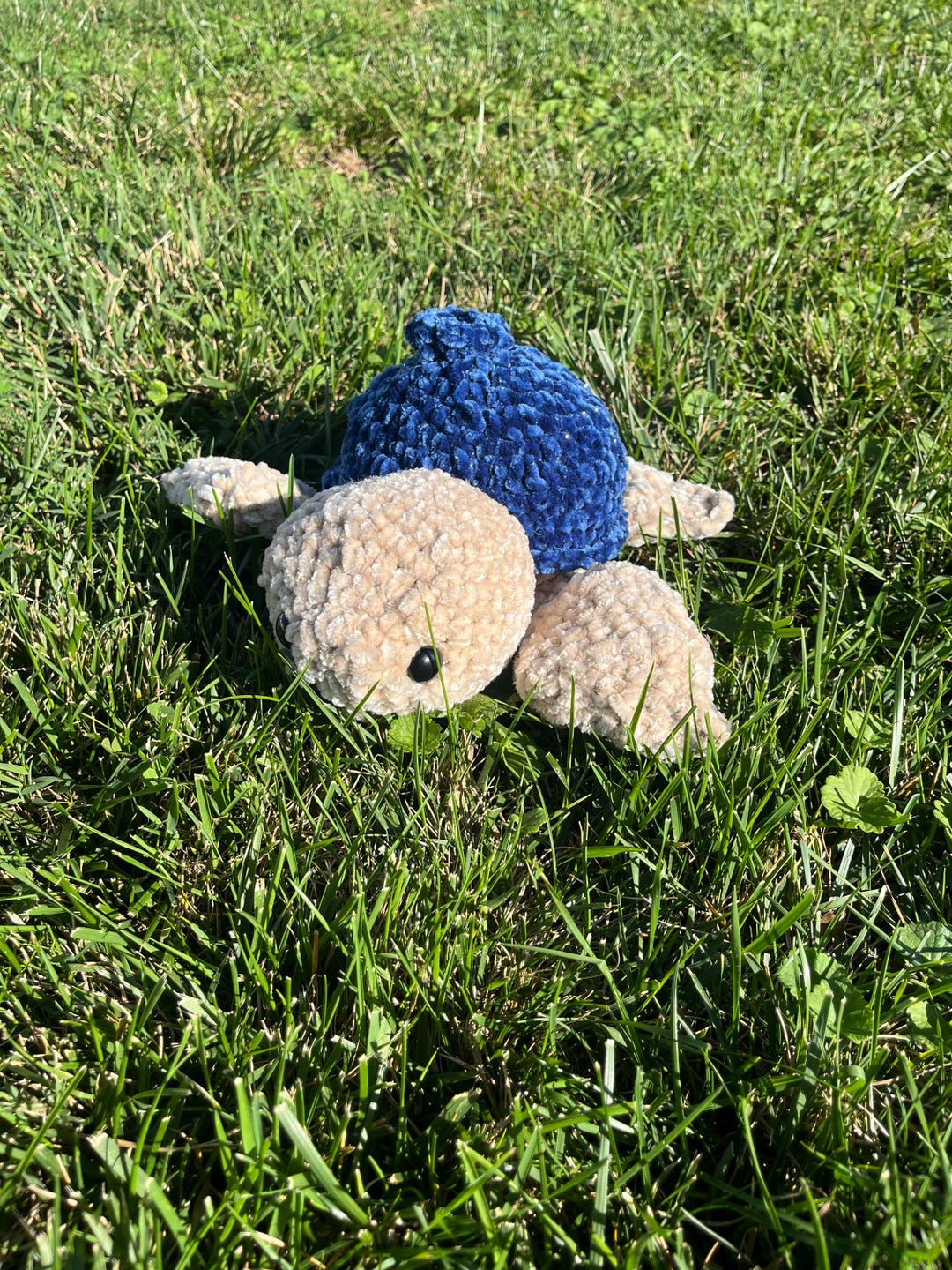 Crochet Blueberry Turtle Plushie - Etsy