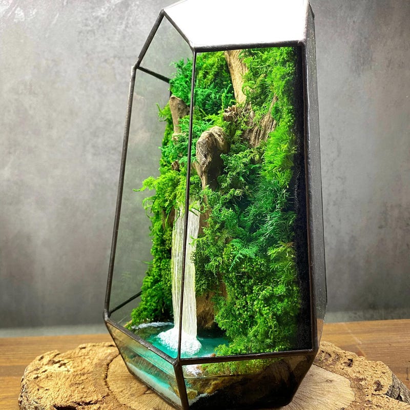 Desktop Terrarium - Etsy