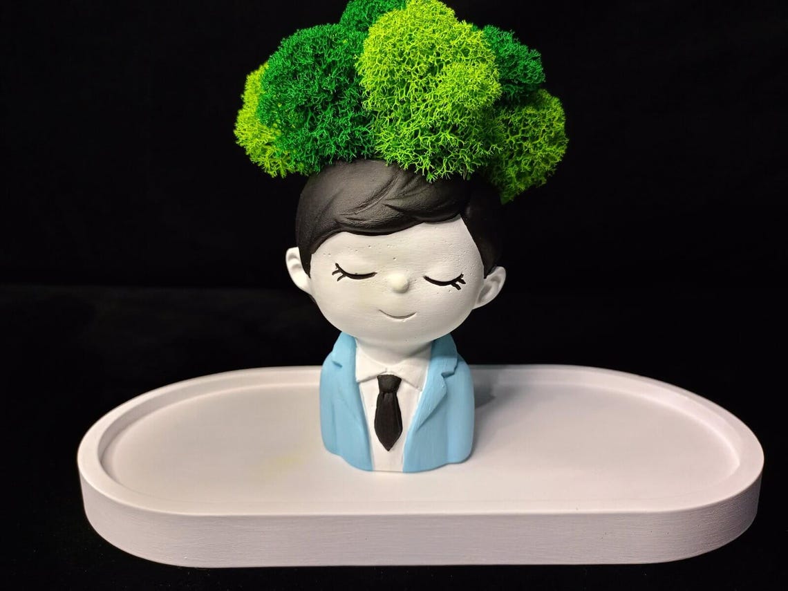 Relaxing Boy Moss Pot Live Moss Hat Blue or Black Planter Artistic ...