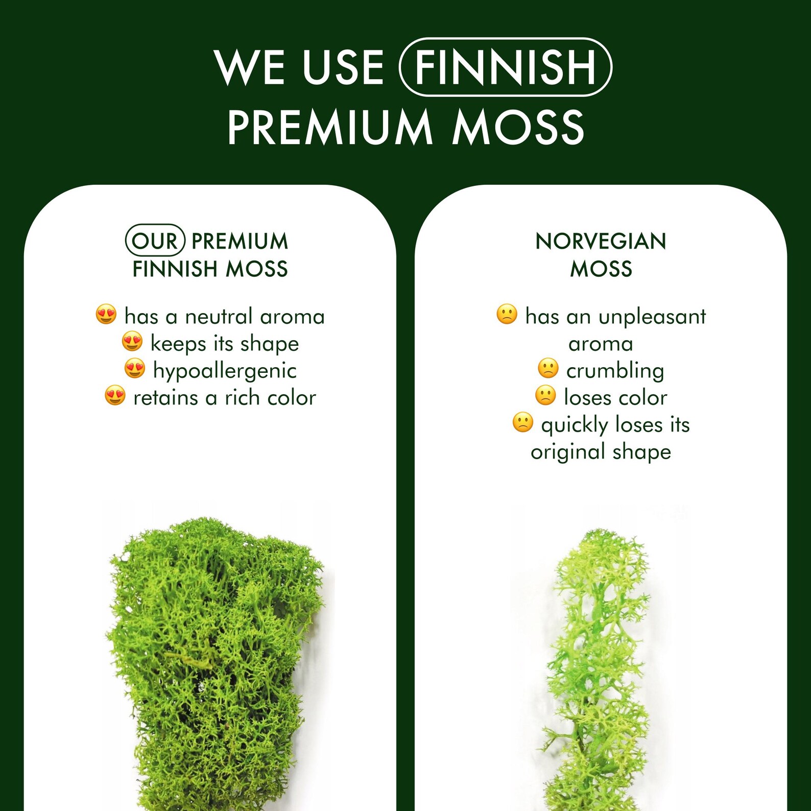 Relaxing Boy Moss Pot | Live Moss Hat | Blue or Black Planter ...