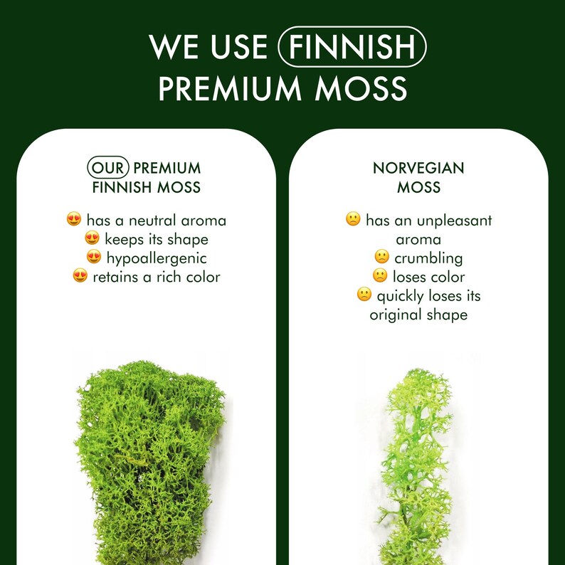 Relaxing Boy Moss Pot | Live Moss Hat | Blue or Black Planter ...
