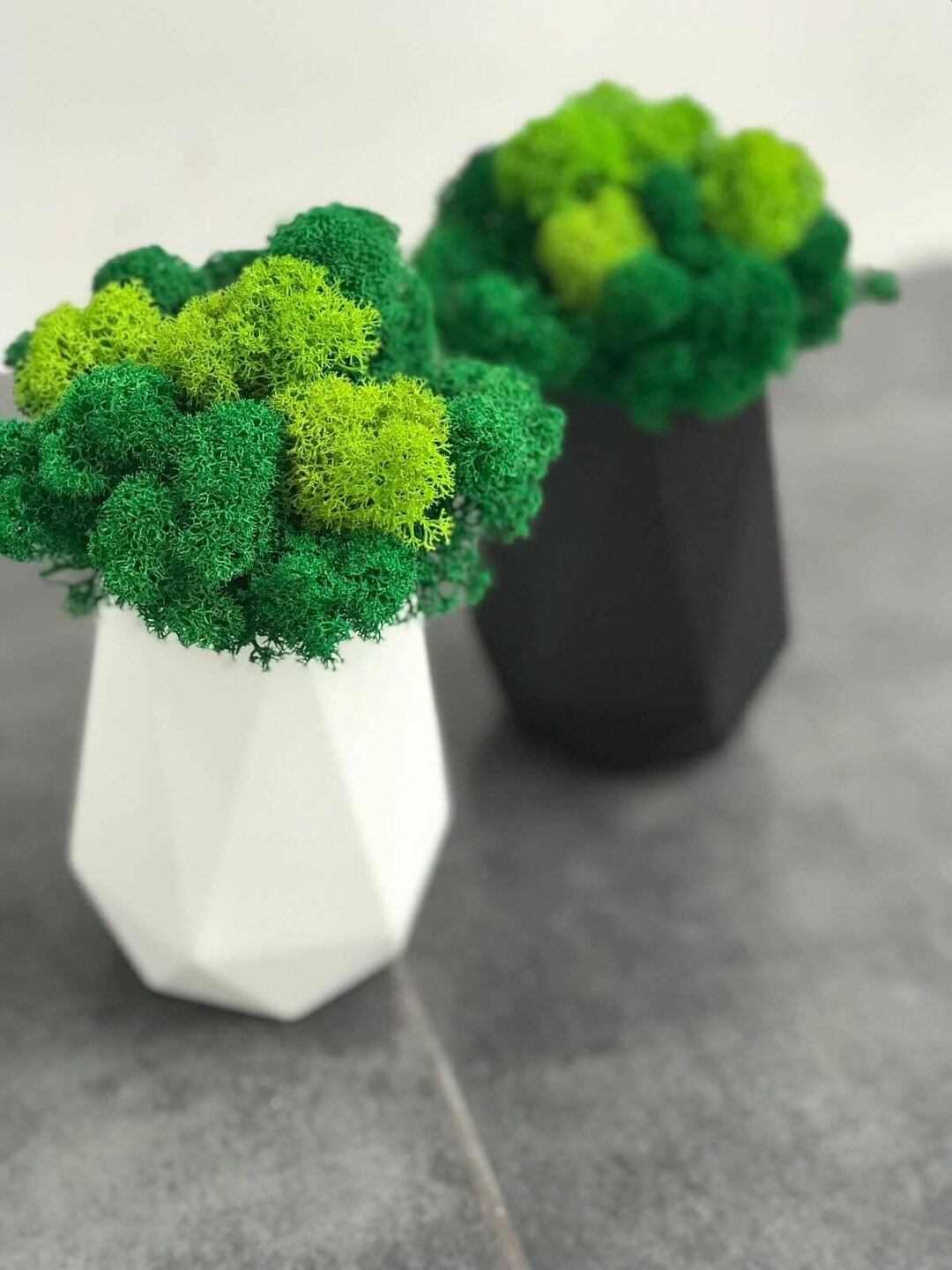 Tall Triangle Moss Pot | Black or White | Modern Geometric Planter | 15 ...