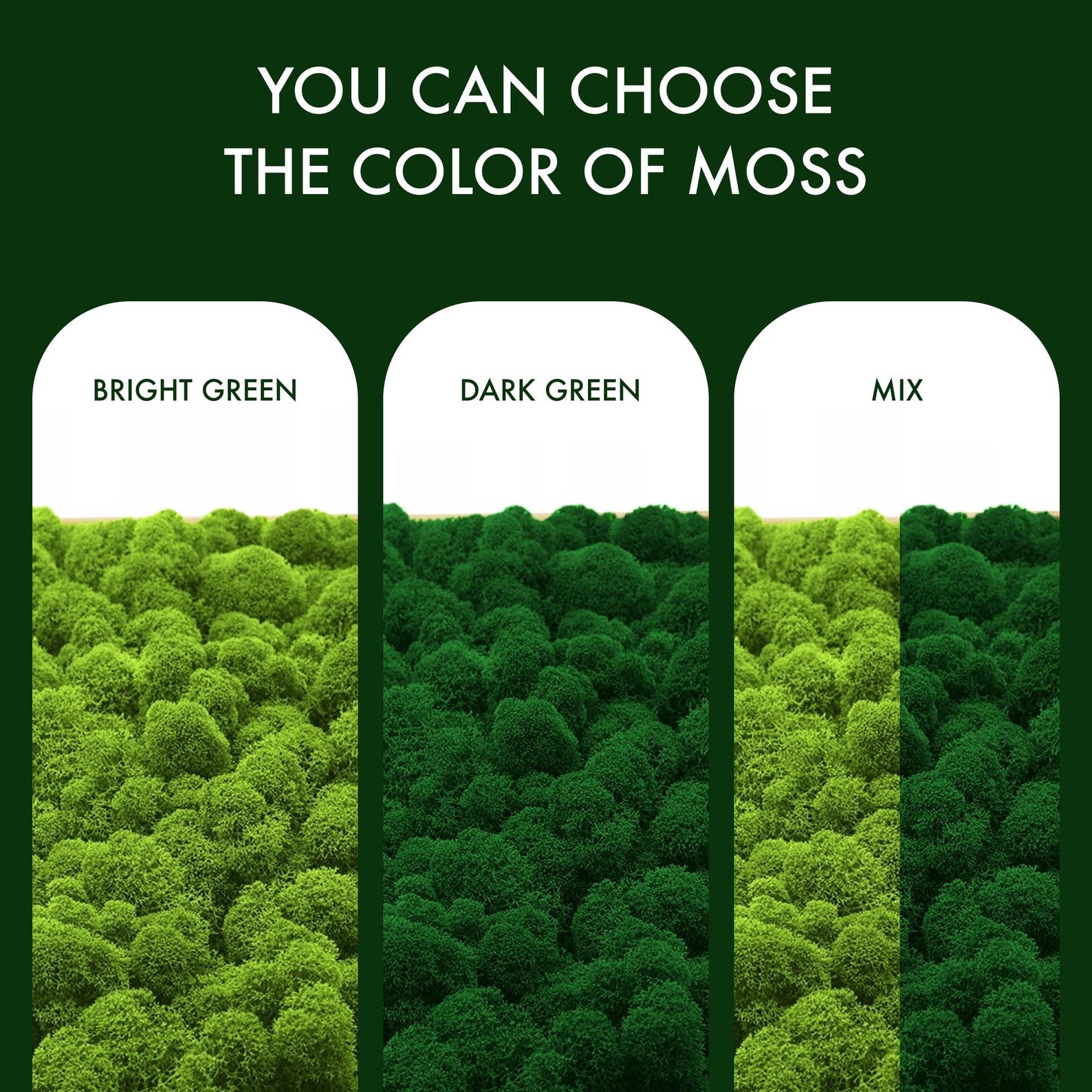 Relaxing Boy Moss Pot Live Moss Hat Blue or Black Planter Artistic ...