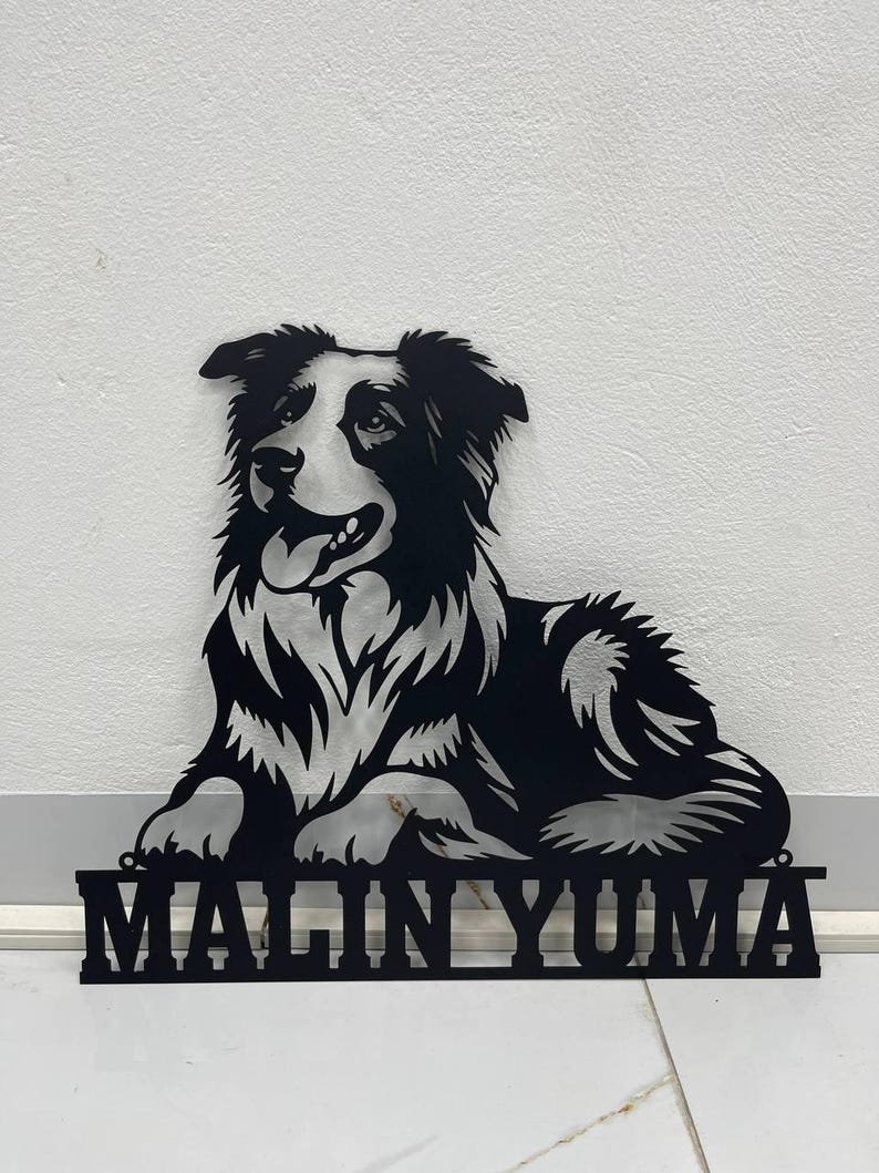 Custom Metal Border Collie Sign With LED Light, Family Name Gift for ...