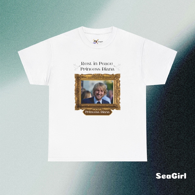 RIP Princess Diana Owen Wilson Meme T-shirt, Funny Tee, Weirdcore Oddly ...
