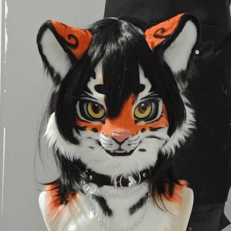 Chinese Fursuit - Etsy