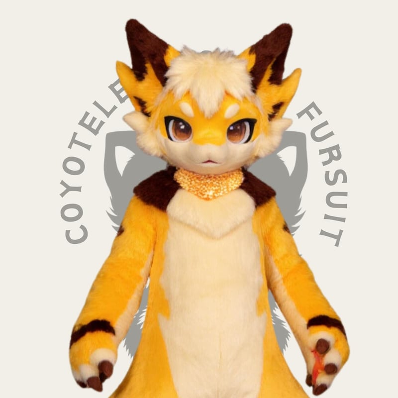 Full Fursuit for Kids - Etsy