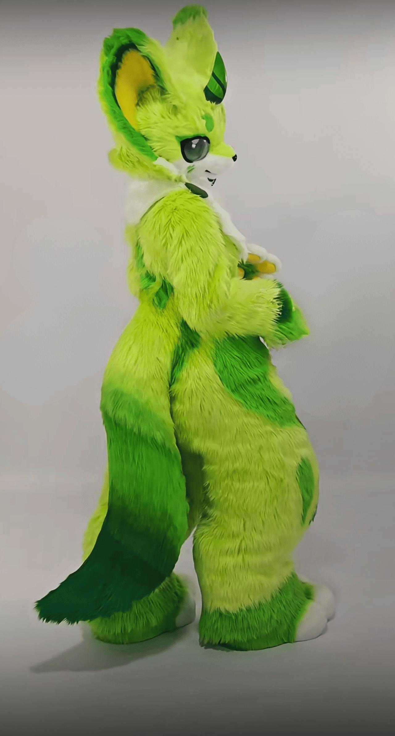 Custom Fursuit Full Body Suit, Kenomo/toony Theme Party, Fursuit Mask ...