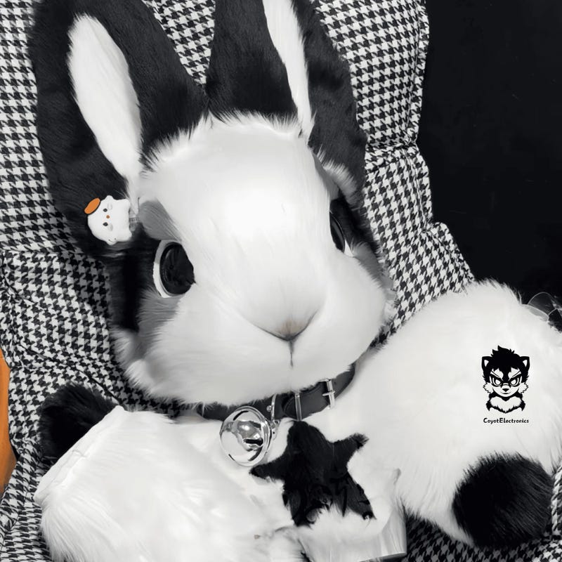 Rabbit Fursuit - Etsy