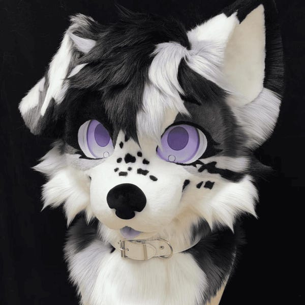 Full fursuit - Etsy México
