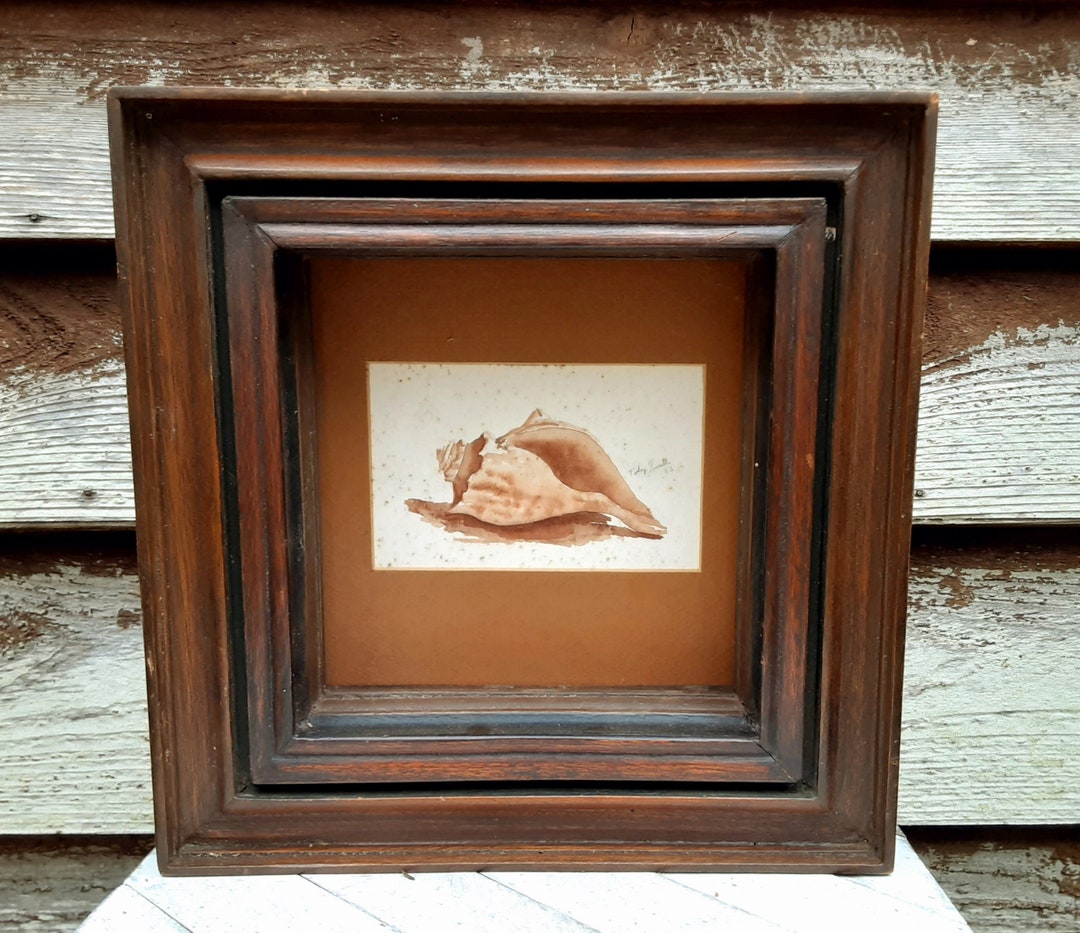 Antique Deep Well Frame - Toby Smith Conch Shell Watercolor - Etsy
