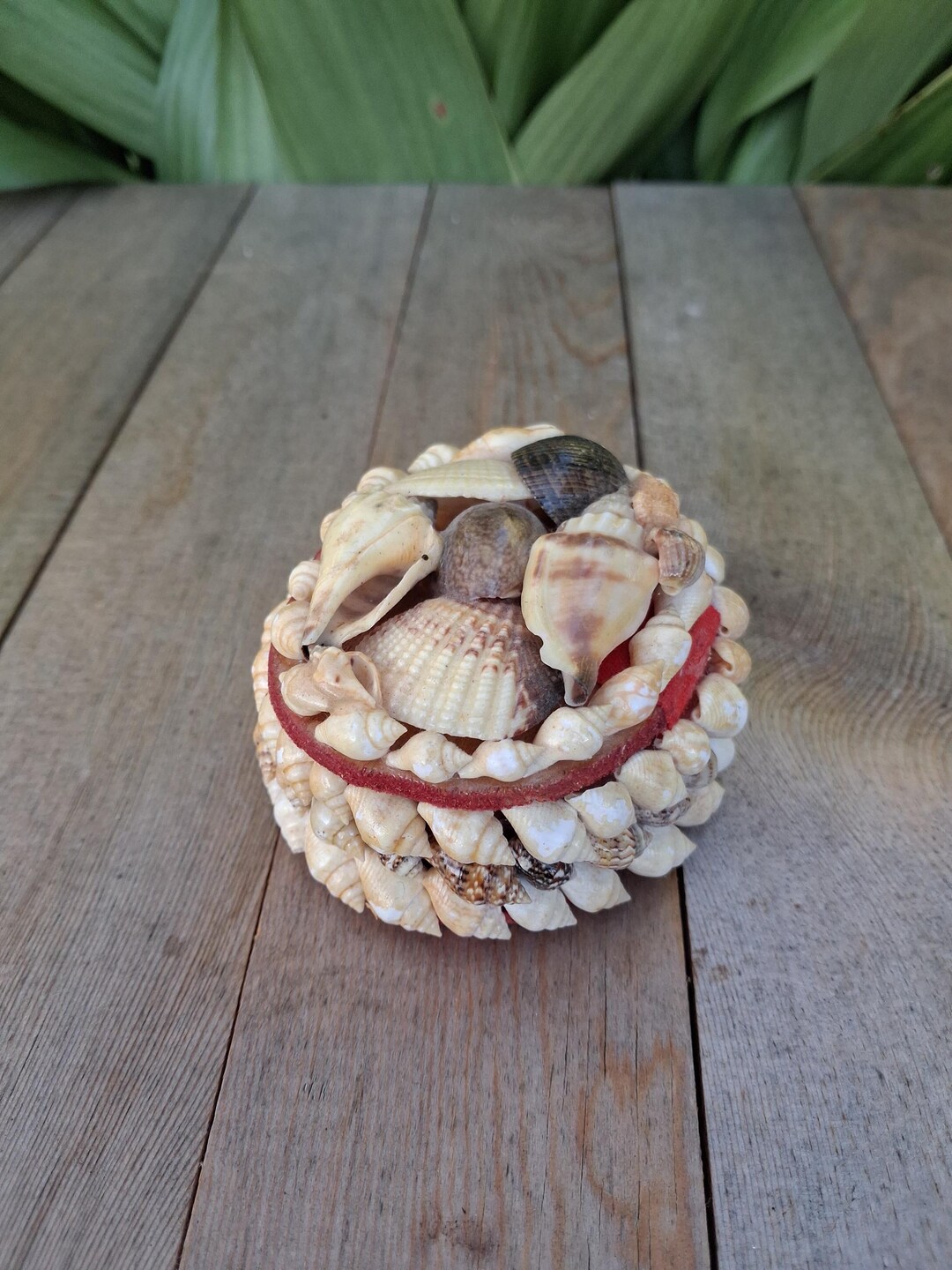 Vintage Oval Shell Ring Box - Folk Art Sailor Valentine - Etsy