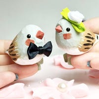 Cockatiel Cake Topper - Handcarved, Wooden Bride and Groom Parrot ...