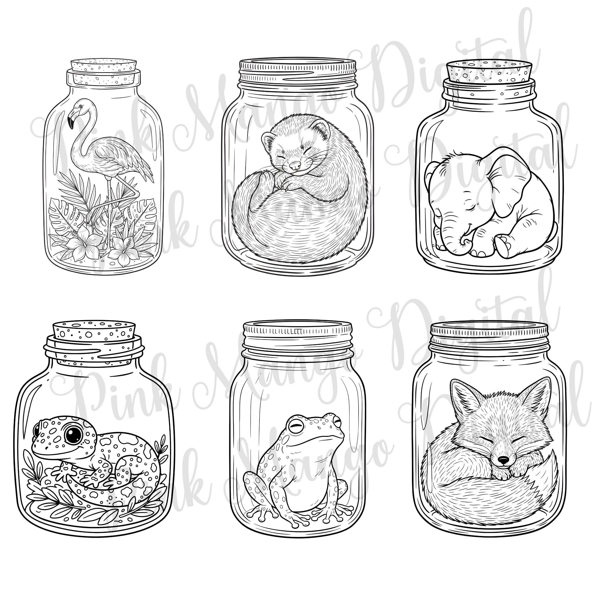 Animals in a Jar Line Art Clipart, Cute Animal Coloring Pages PNG ...