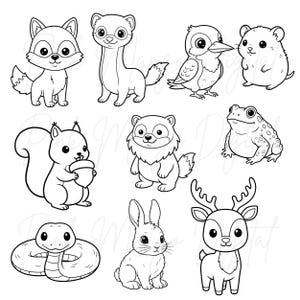 Woodland Animals Clipart, 60 PNG Forest Line Art Coloring Pages ...