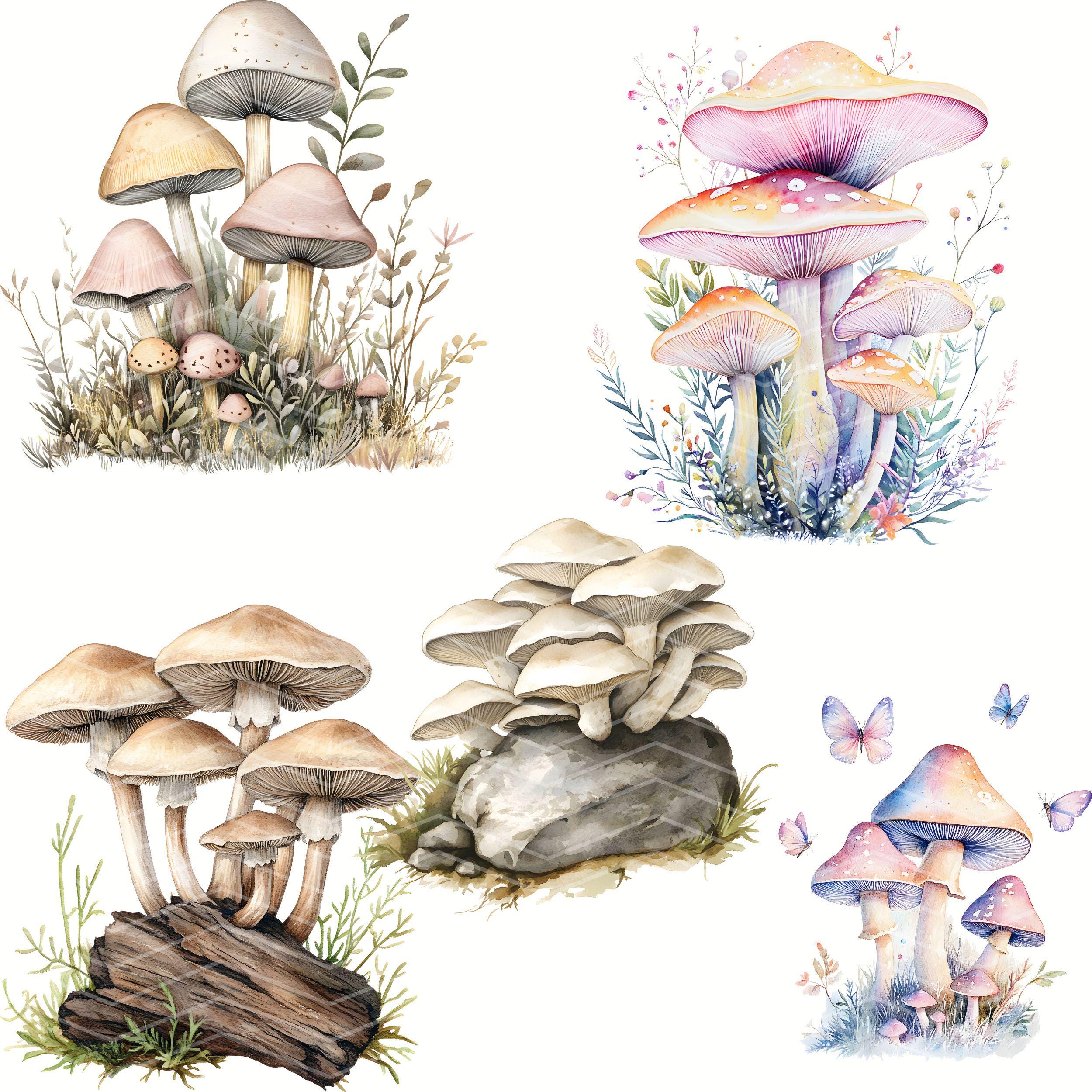 Watercolor Mushroom Clipart Bundle: 20 PNG Designs (digital Download ...