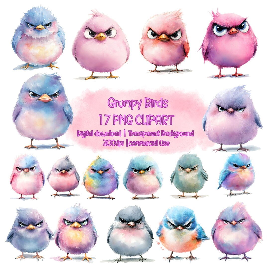 Cute Pastel Grumpy Birds PNG Clipart Bundle | Cute Bird Digital ...