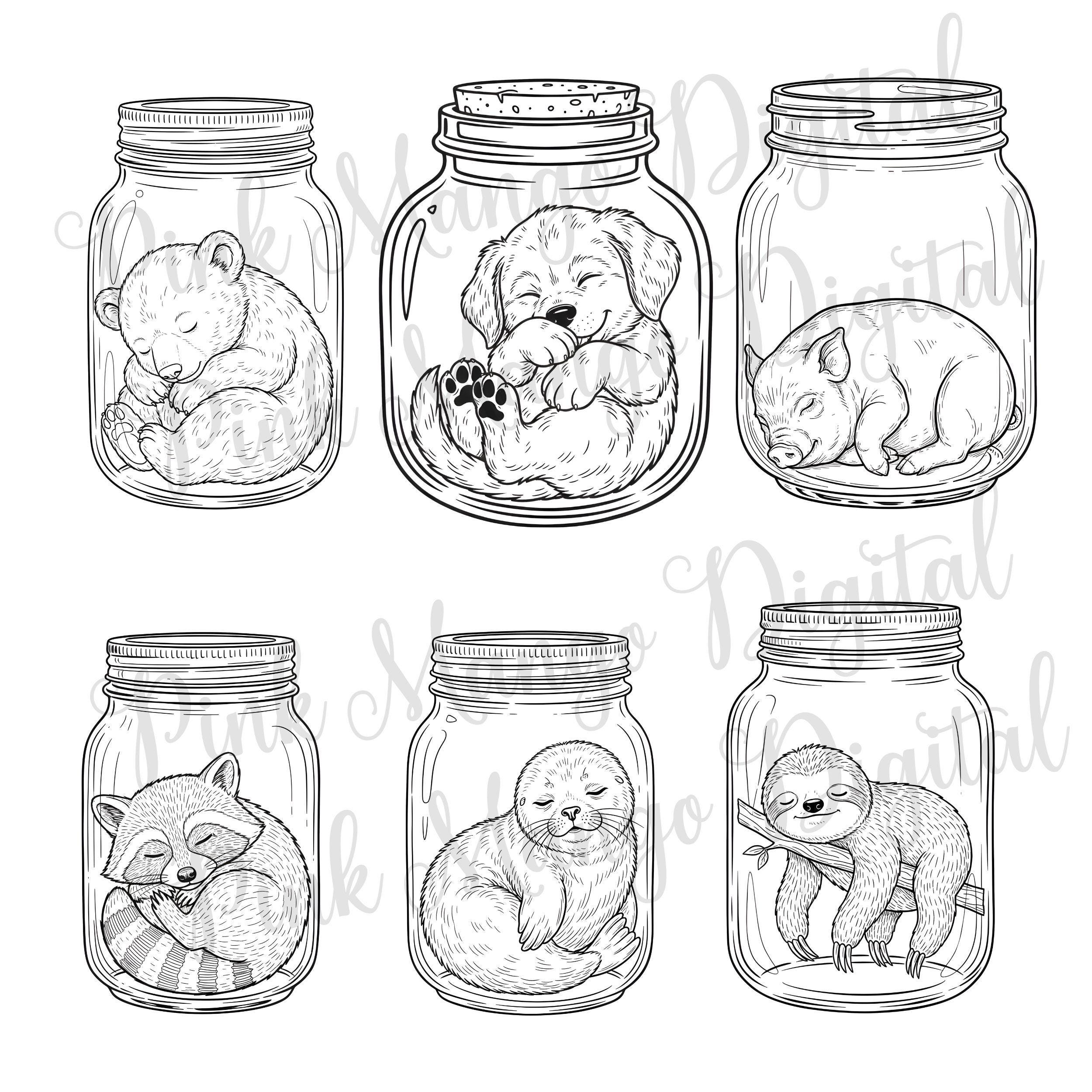 Animals in a Jar Line Art Clipart, Cute Animal Coloring Pages PNG ...