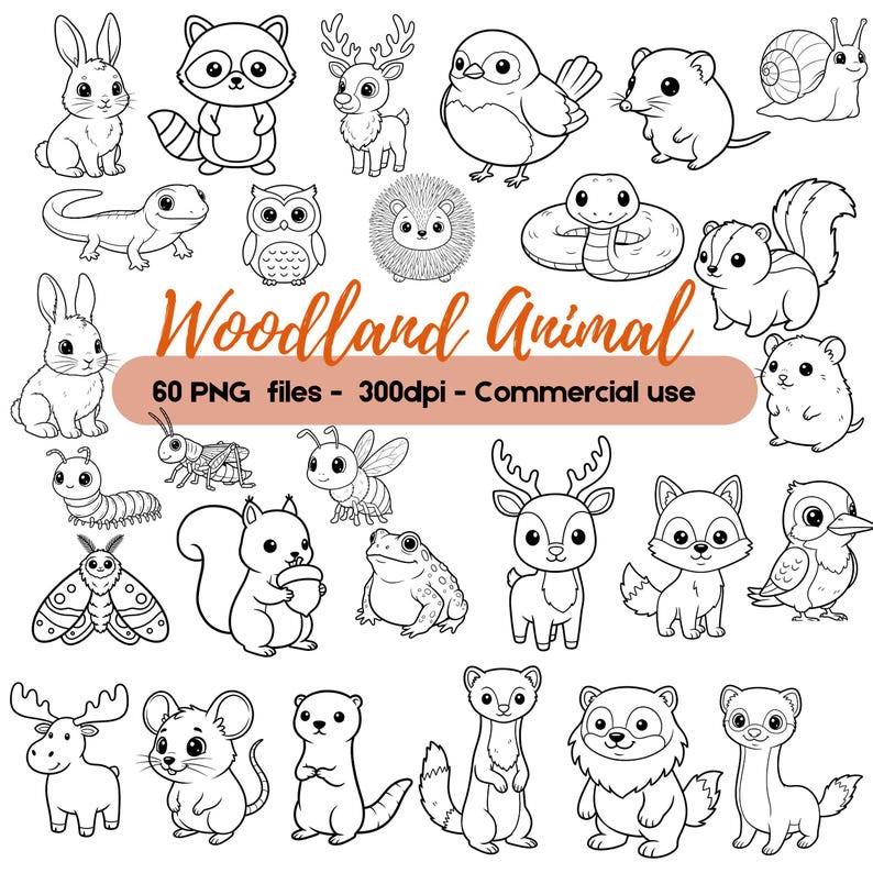 Woodland Animals Clipart, 60 PNG Forest Line Art Coloring Pages ...