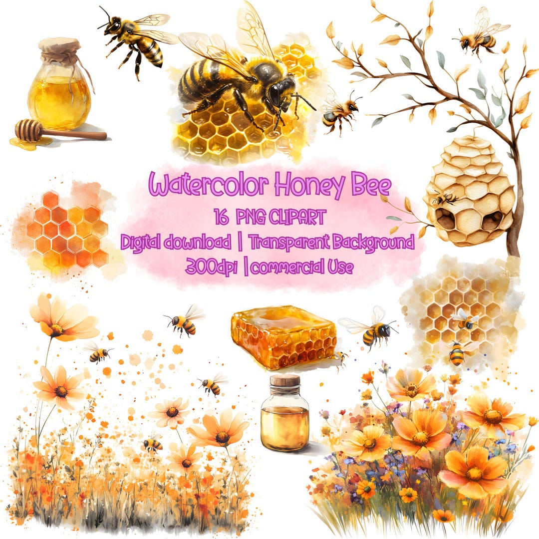 Watercolor Honey Bee Clipart Bundle 16 PNG Files Honeycomb & Flower ...