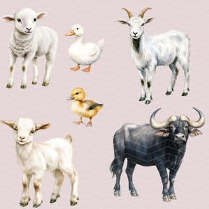Farm Animal Watercolor Clipart: 21 PNG Bundle (digital Download) - Etsy