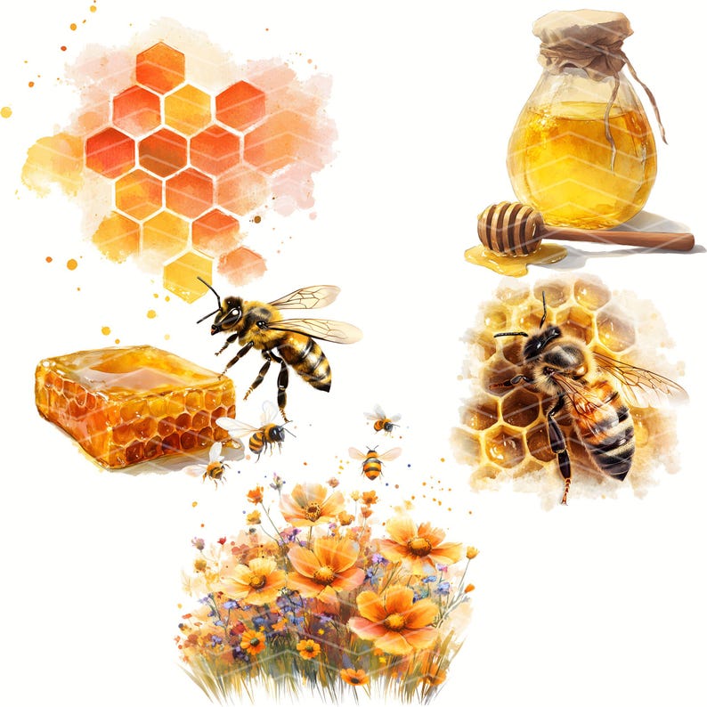 Watercolor Honey Bee Clipart Bundle 16 PNG Files Honeycomb & Flower ...