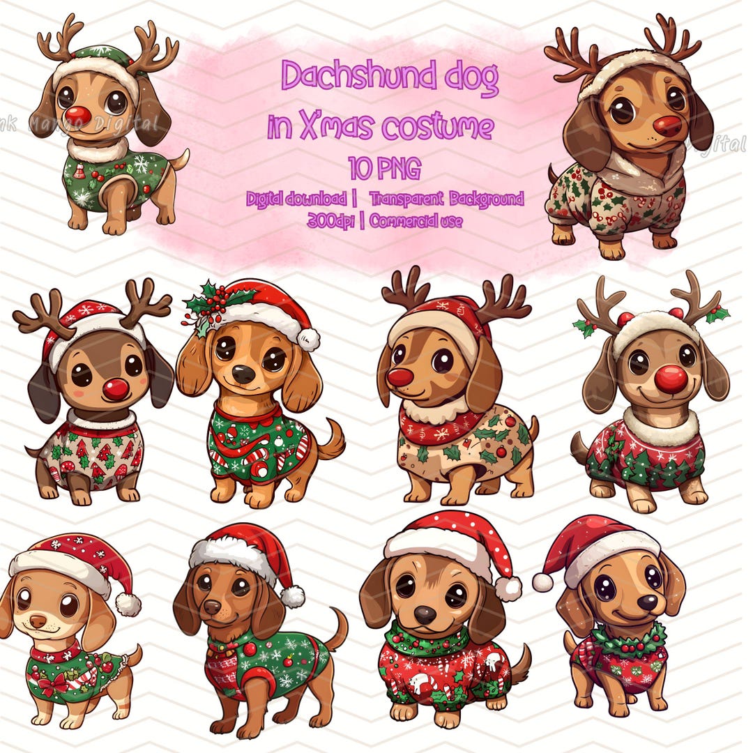 Winter Dachshund Clipart PNG Holiday Cozy Animal With Christmas Costume ...