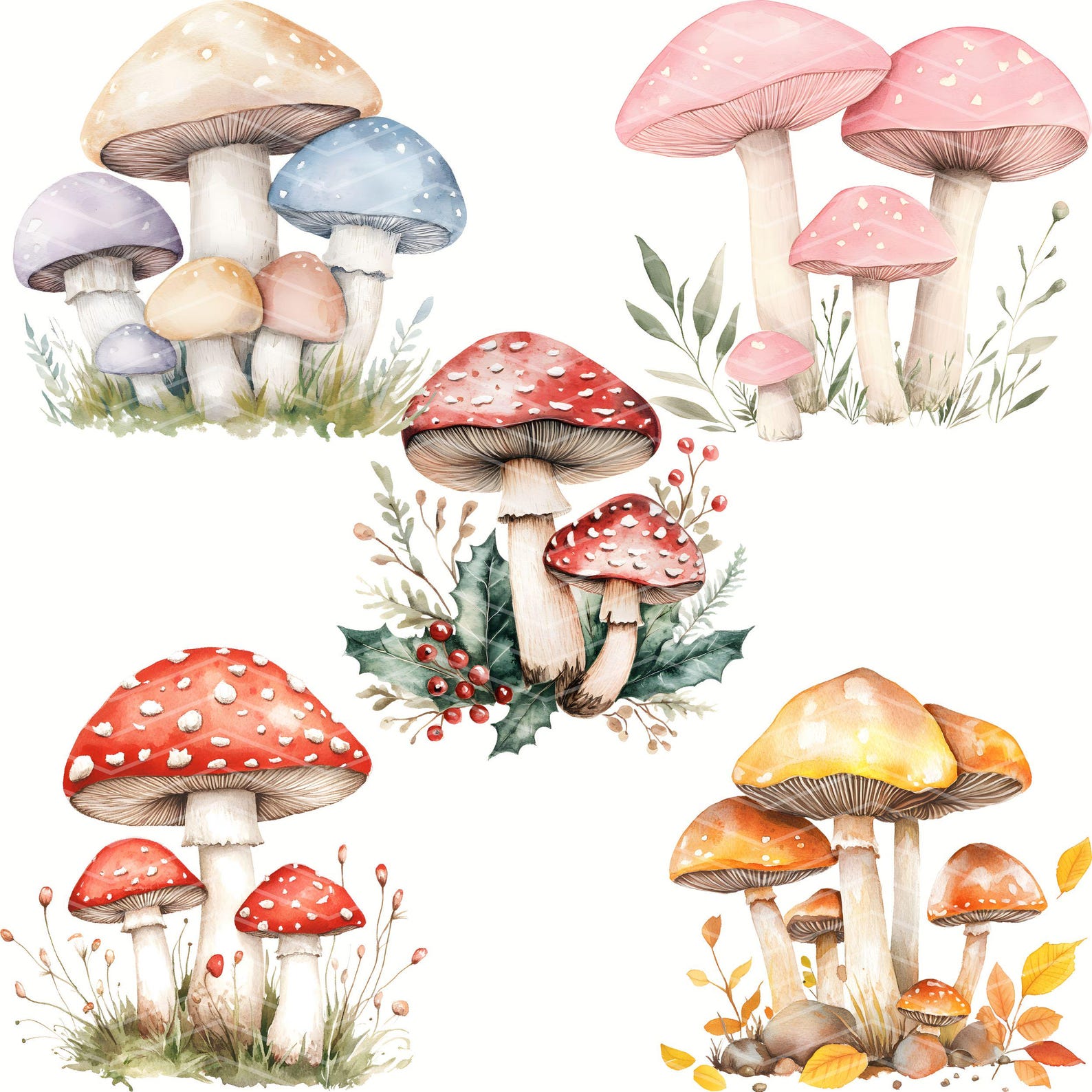 Watercolor Mushroom Clipart Bundle: 20 PNG Designs (digital Download ...