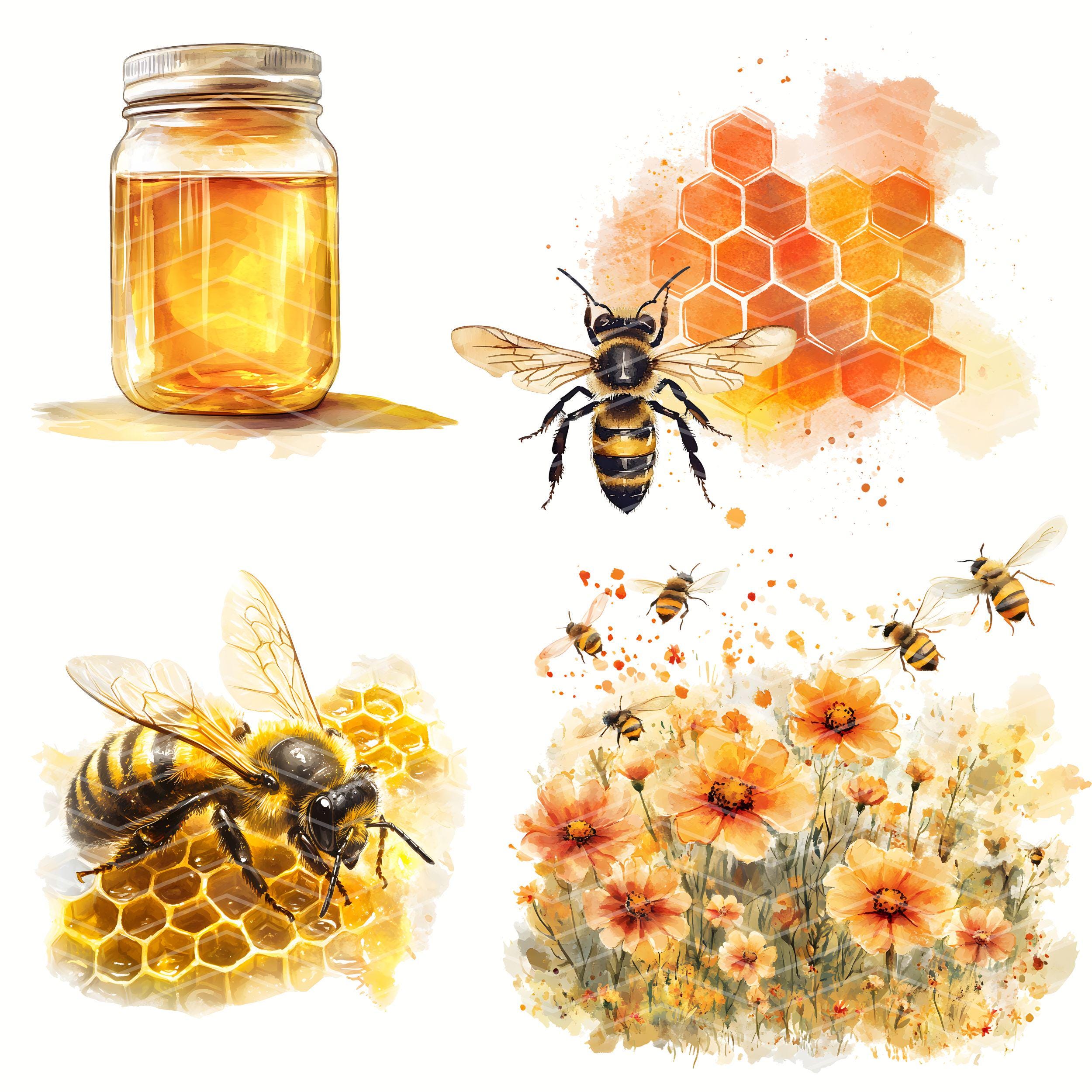 Watercolor Honey Bee Clipart Bundle 16 PNG Files Honeycomb & Flower ...