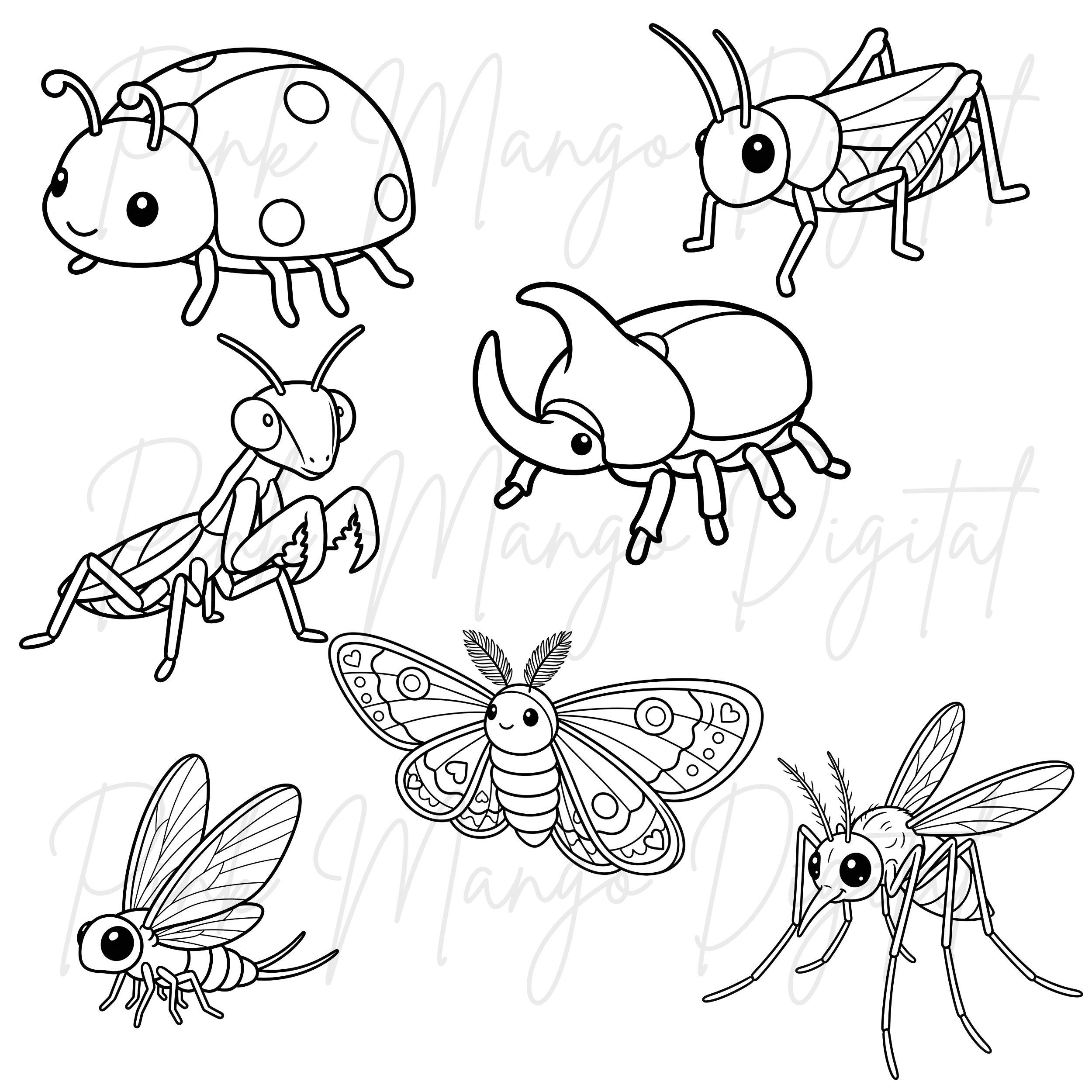 Insects Line Art Clipart | Bug Doodles | Simple Outline Insect | Kawaii ...