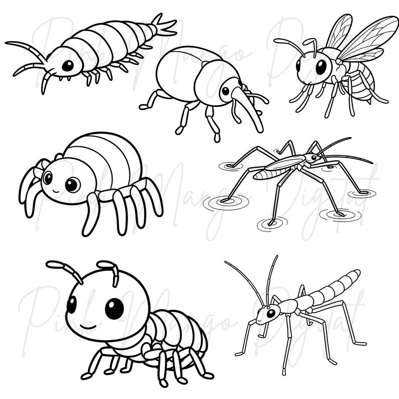 Insects Line Art Clipart | Bug Doodles | Simple Outline Insect | Kawaii ...