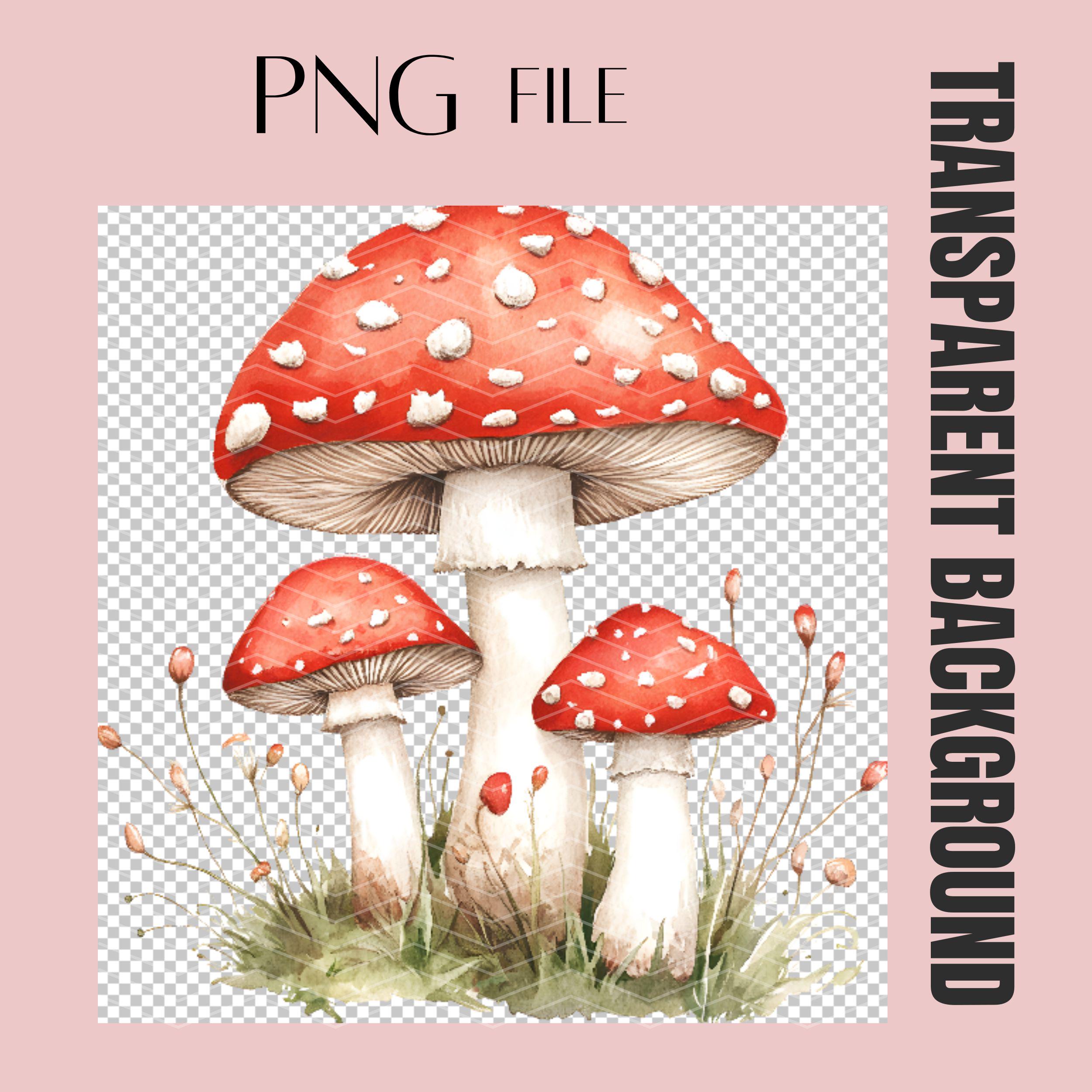 Watercolor Mushroom Clipart Bundle: 20 PNG Designs (digital Download ...