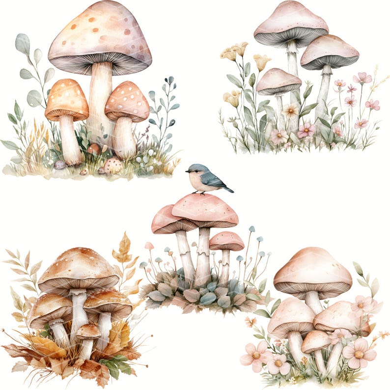 Watercolor Mushroom Clipart Bundle: 20 PNG Designs (digital Download ...