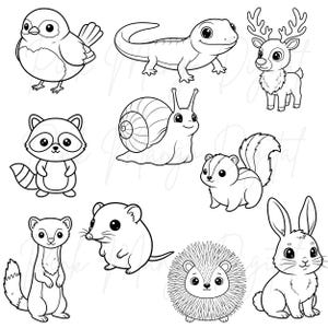 Woodland Animals Clipart, 60 PNG Forest Line Art Coloring Pages ...
