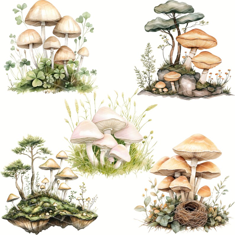 Watercolor Mushroom Clipart Bundle: 20 PNG Designs (digital Download ...
