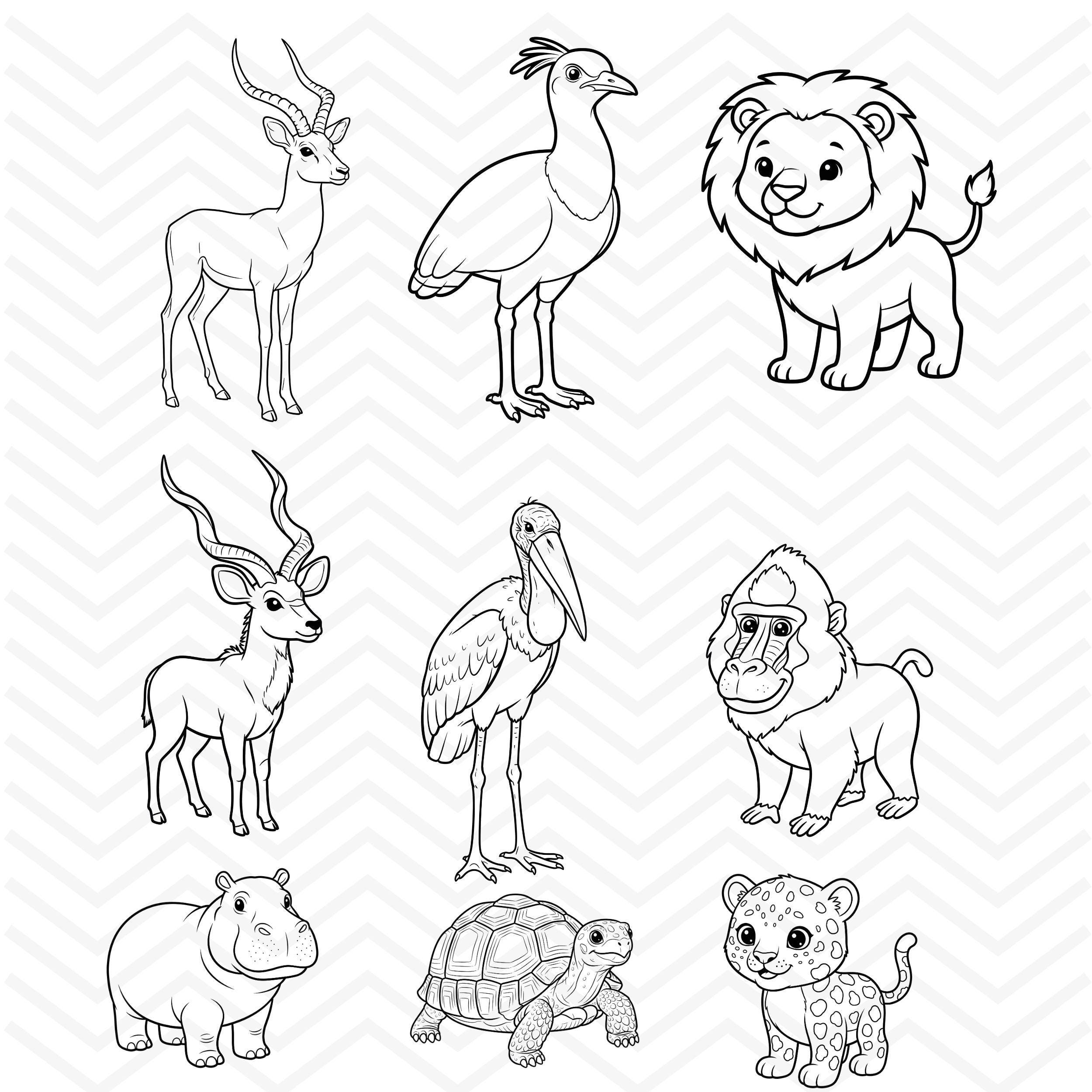 Safari Animal Line Art Clipart Bundle, Jungle Wildlife Outline PNG ...