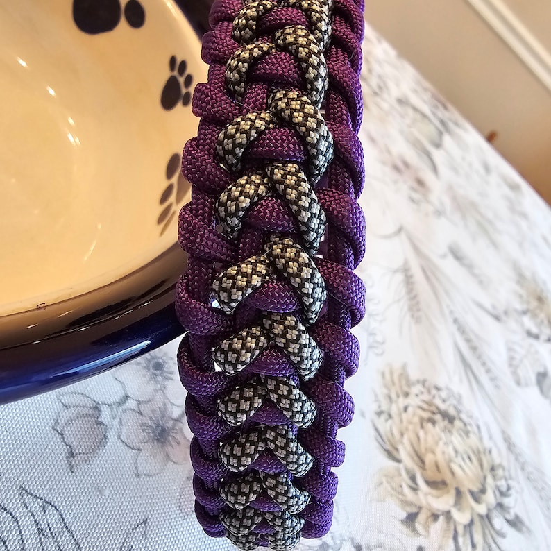 Trilobite Jawbone- Custom Paracord Dog Collar - Etsy