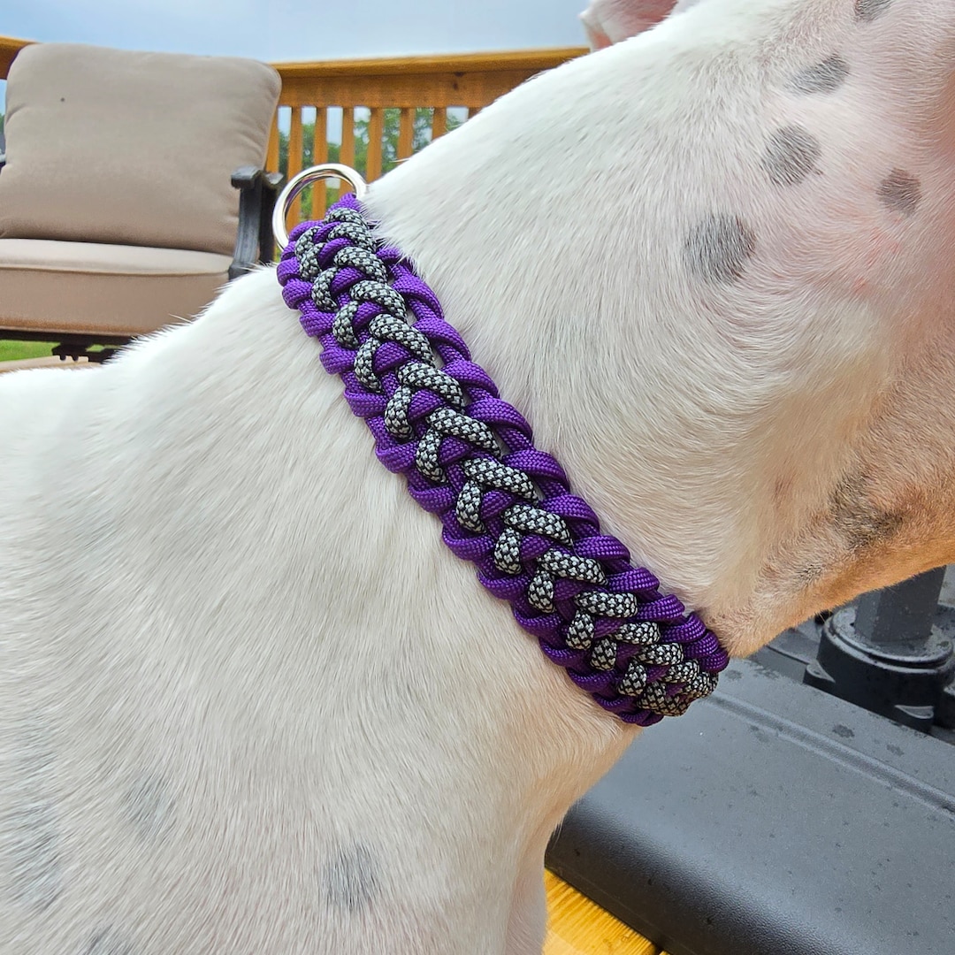 Trilobite Jawbone- Custom Paracord Dog Collar - Etsy