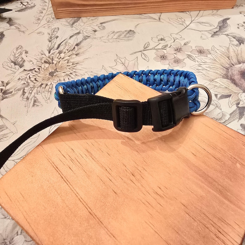 Trilobite Jawbone- Custom Paracord Dog Collar - Etsy