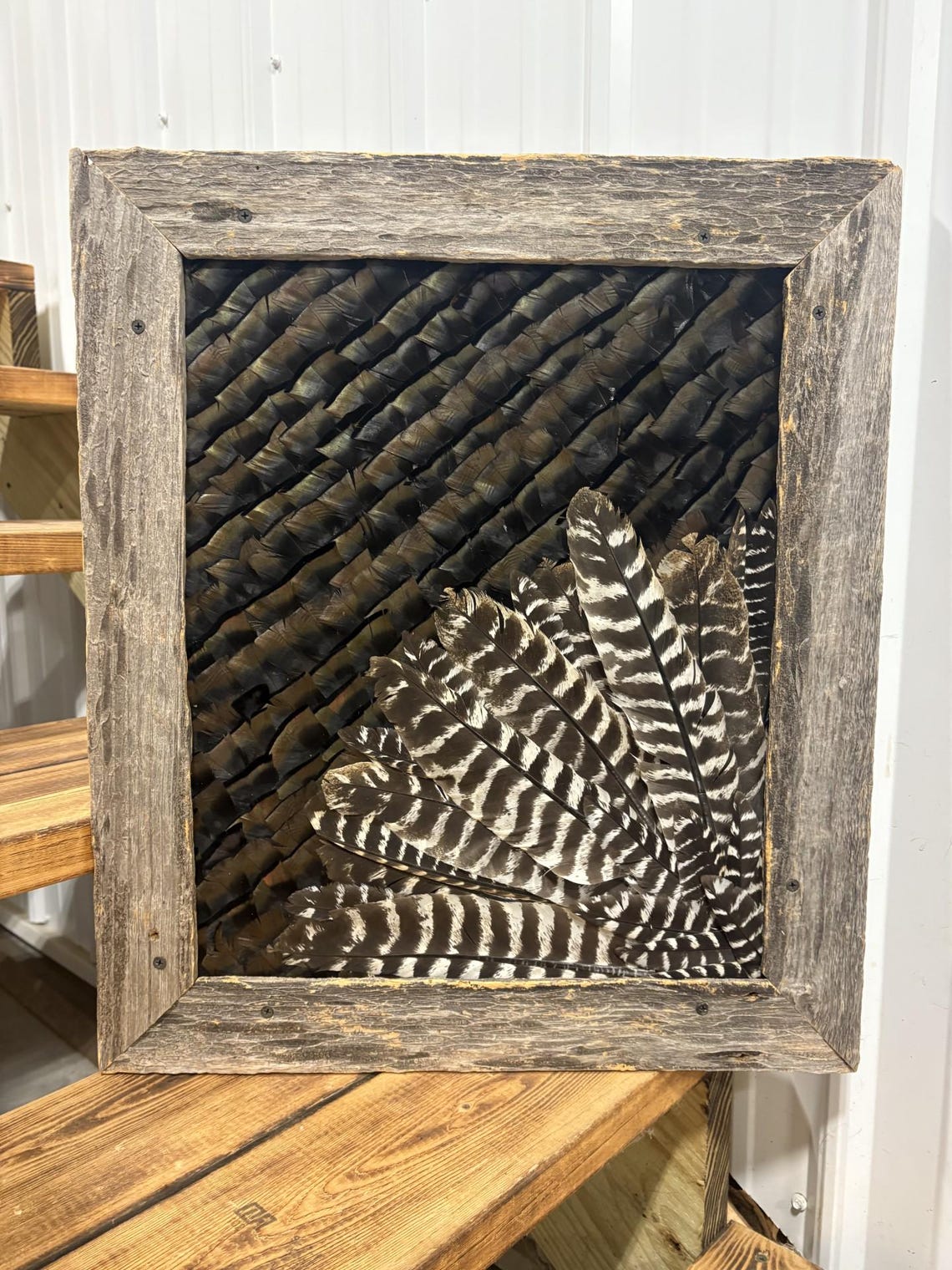 Turkey Feather Wall Art, 16x20, Barn Wood Frame, Wild Turkey Feathers ...