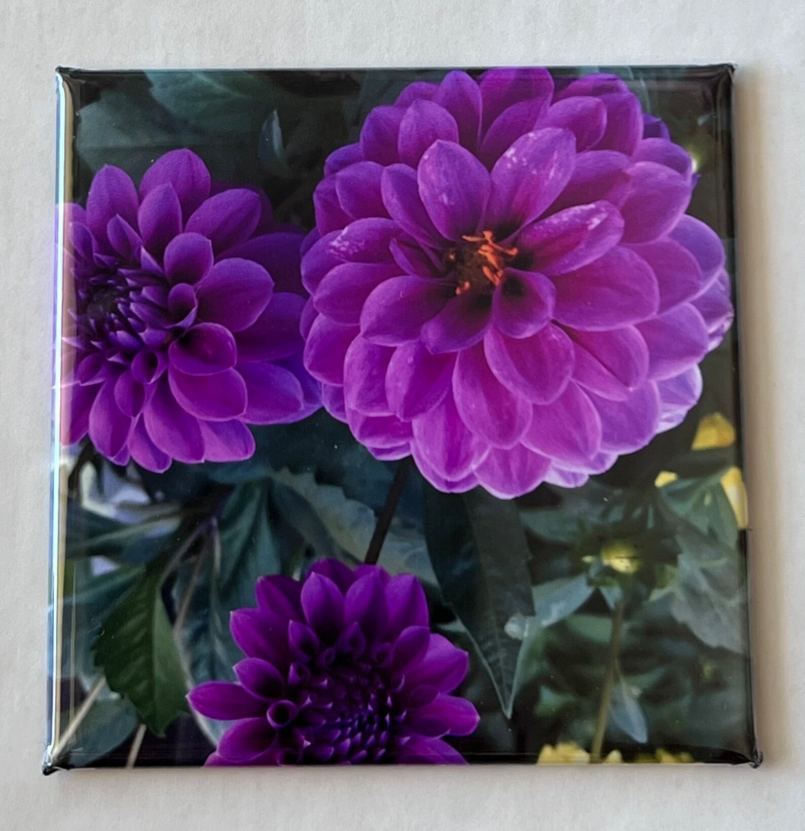 Personalized Photo Magnets 9 Custom Photo Magnets 2.5x2.5 Great for ...