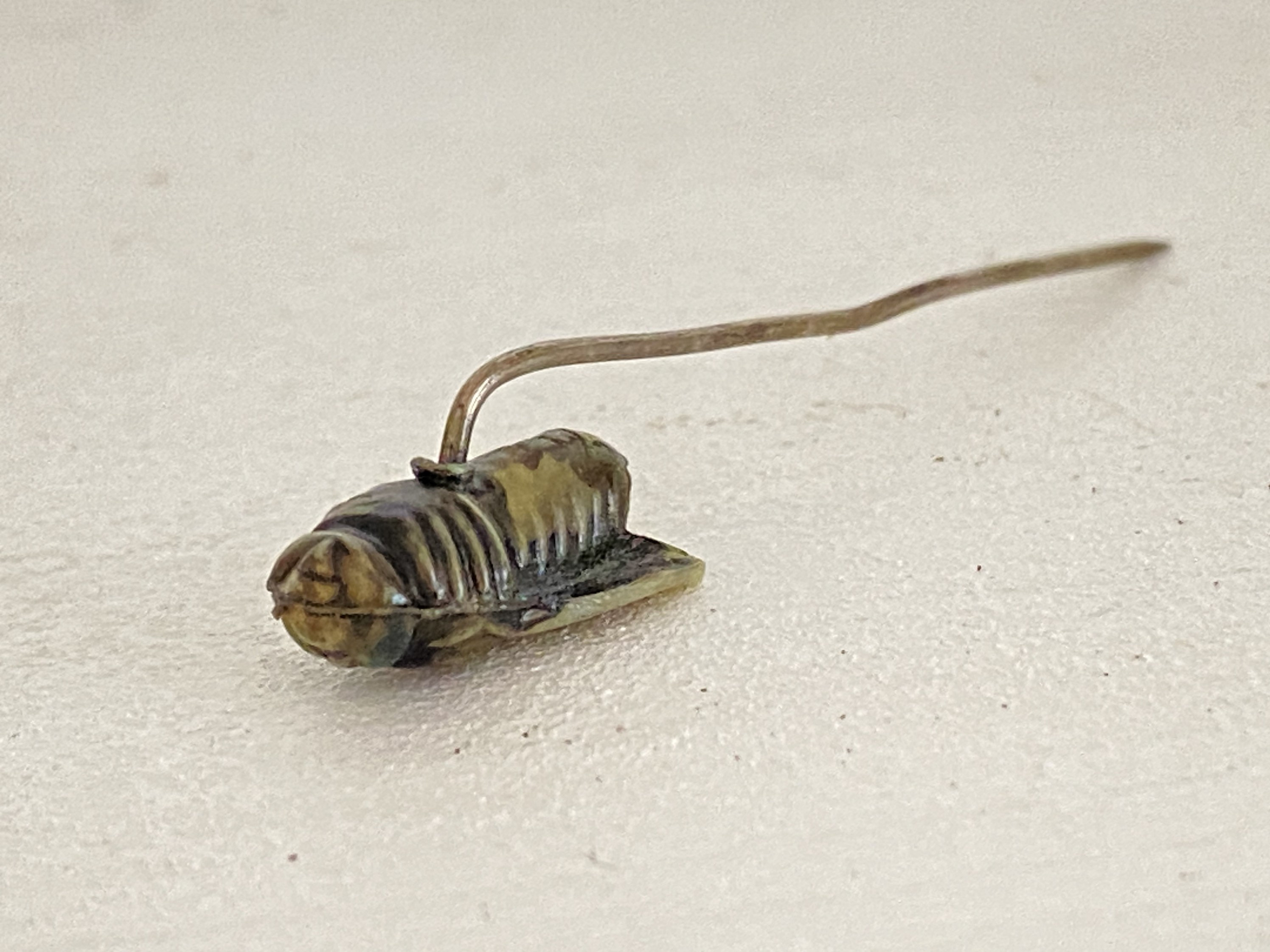 Vintage 50s/40s Life Size Realistic Fly Hat Lapel Pin Celluloid Carved ...