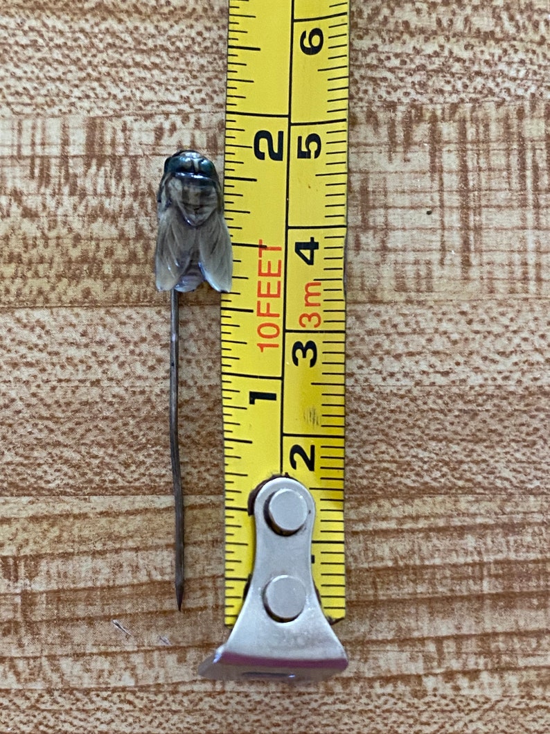 Vintage 50s/40s Life Size Realistic Fly Hat Lapel Pin Celluloid Carved ...