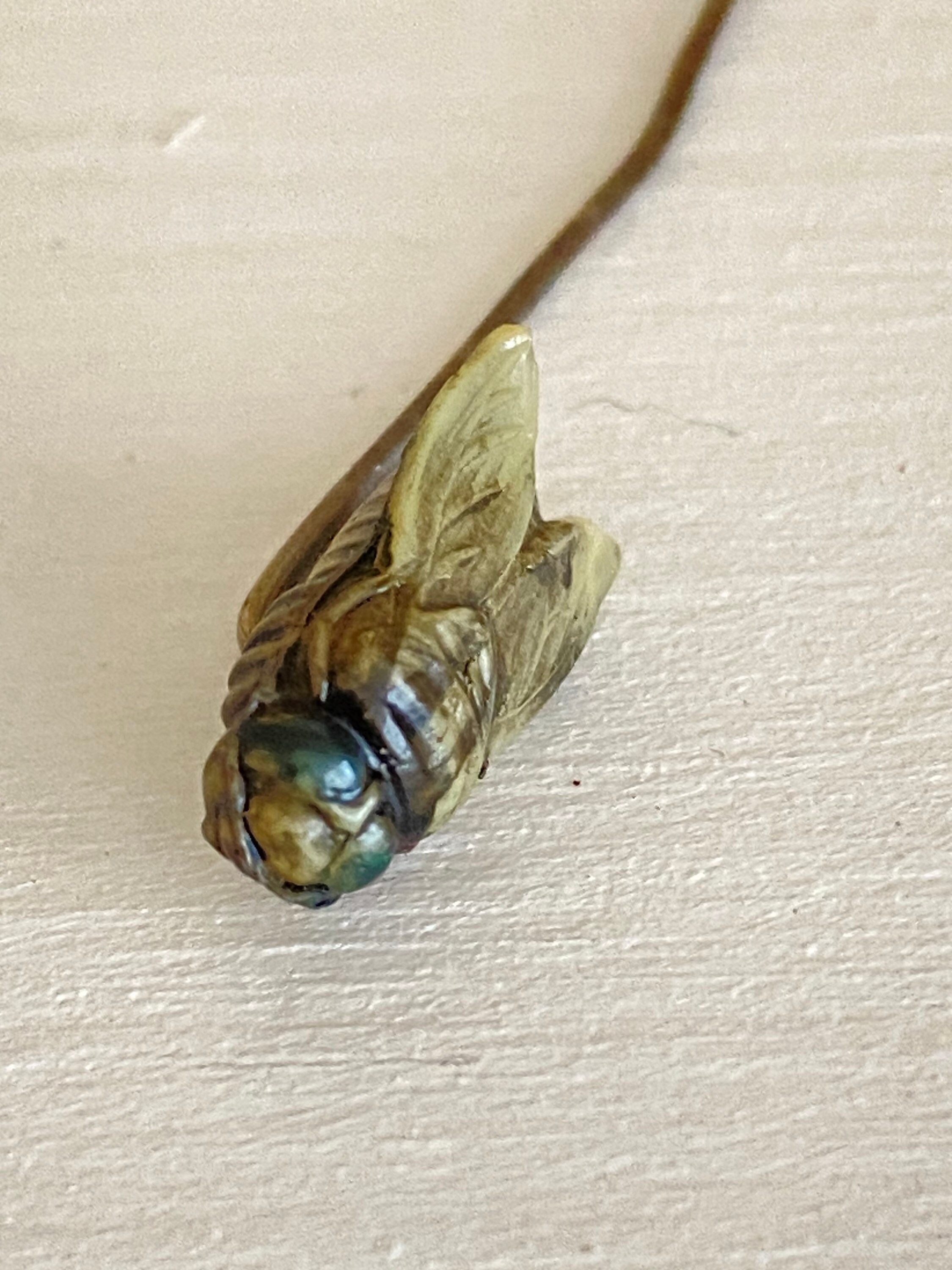 Vintage 50s/40s Life Size Realistic Fly Hat Lapel Pin Celluloid Carved ...